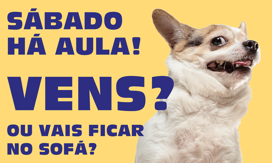 Escolinha Canina | CM Almada