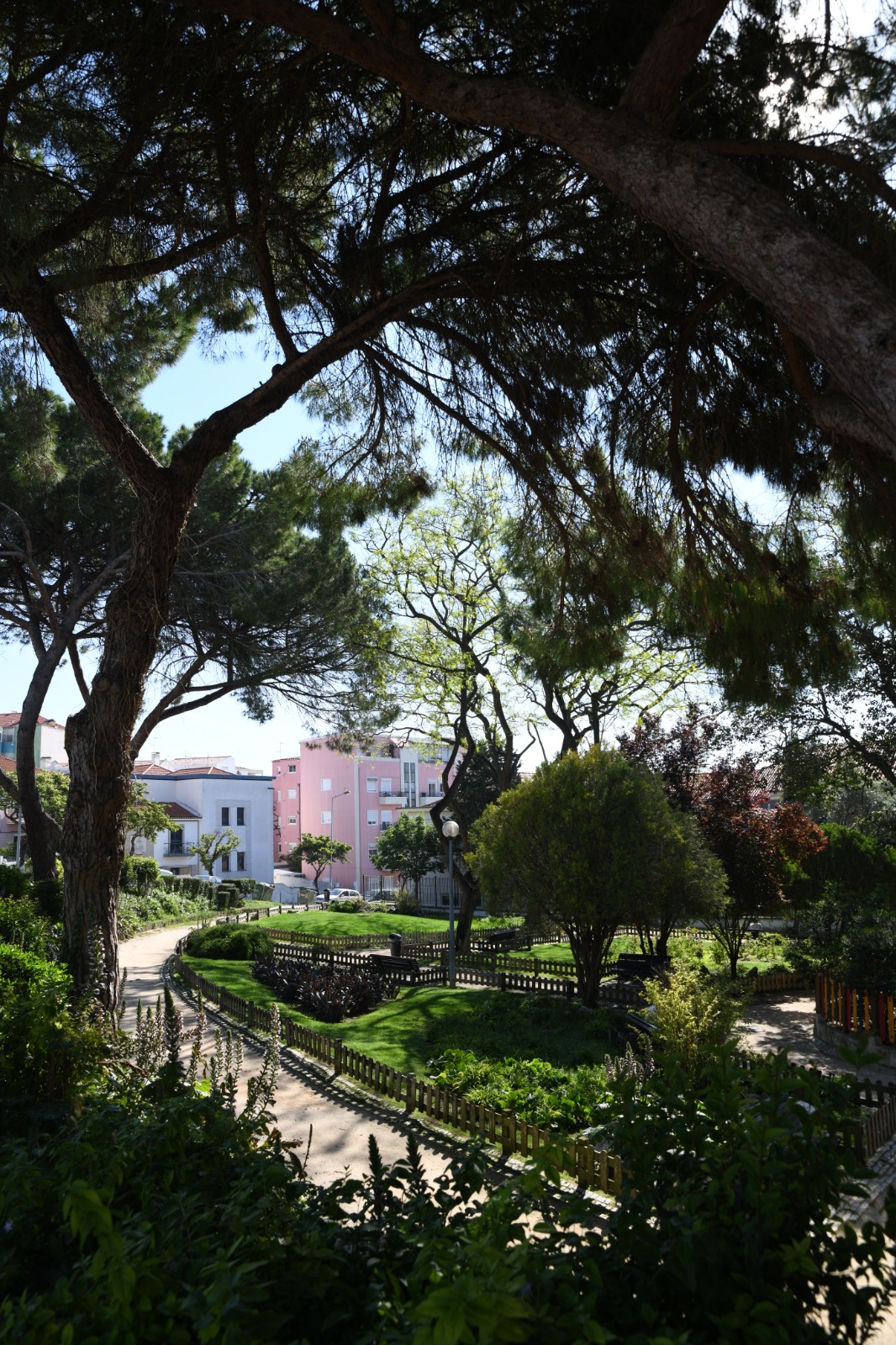 Jardim Dr. Alberto de Araújo vai ser requalificado | CM Almada