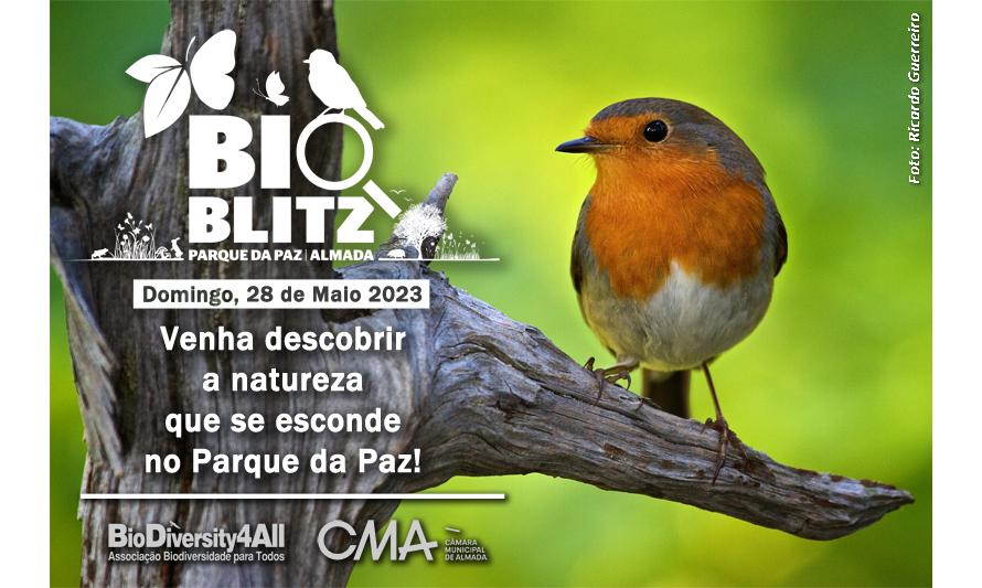 BioBlitz Parque da Paz 2023 | CM Almada