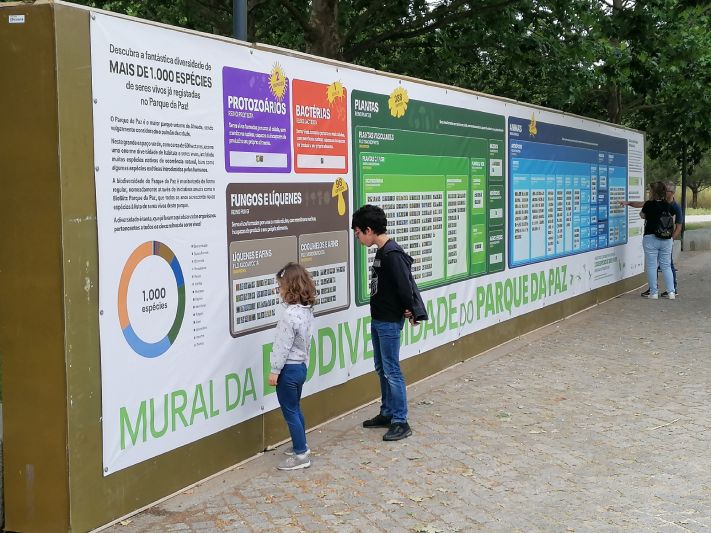Mural da Biodiversidade do Parque da Paz | CM Almada