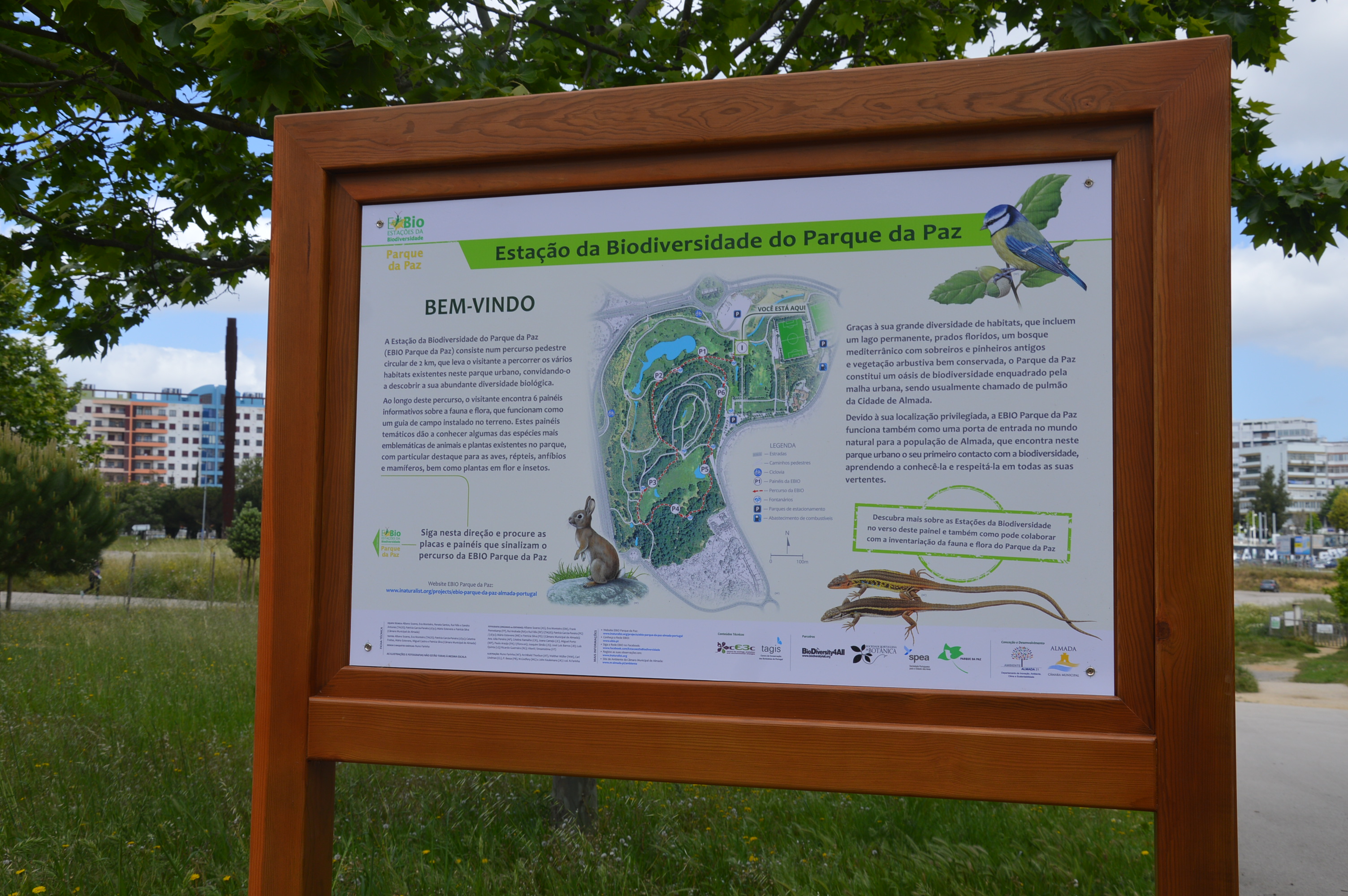 Visita guiada Estação da Biodiversidade do Parque da Paz | CM Almada