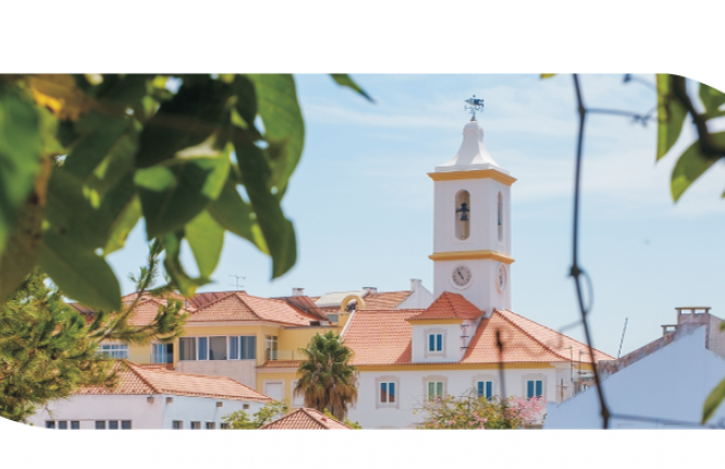 Homepage | CM Almada