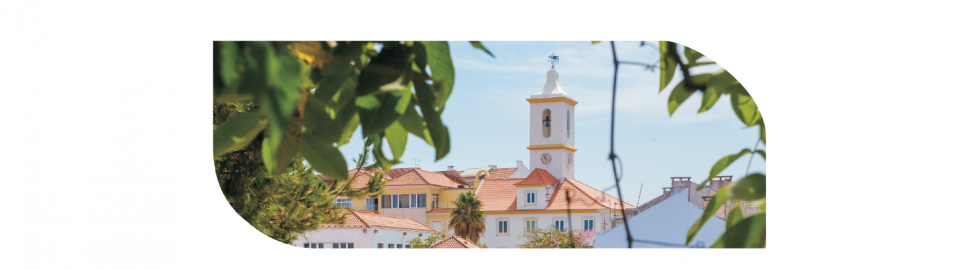 Homepage | CM Almada