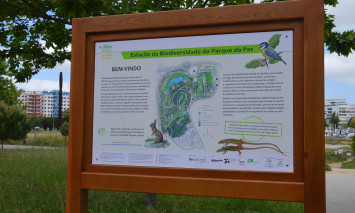 Homepage | CM Almada